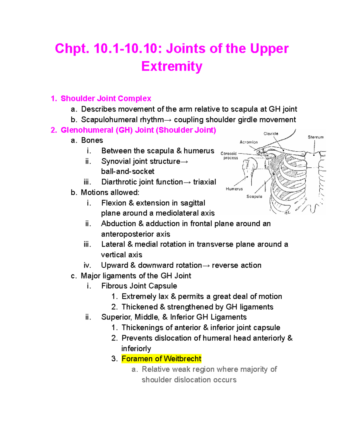 Chpt 10 notes -3 - Chpt. 10.1-10: Joints of the Upper Extremity 1 ...