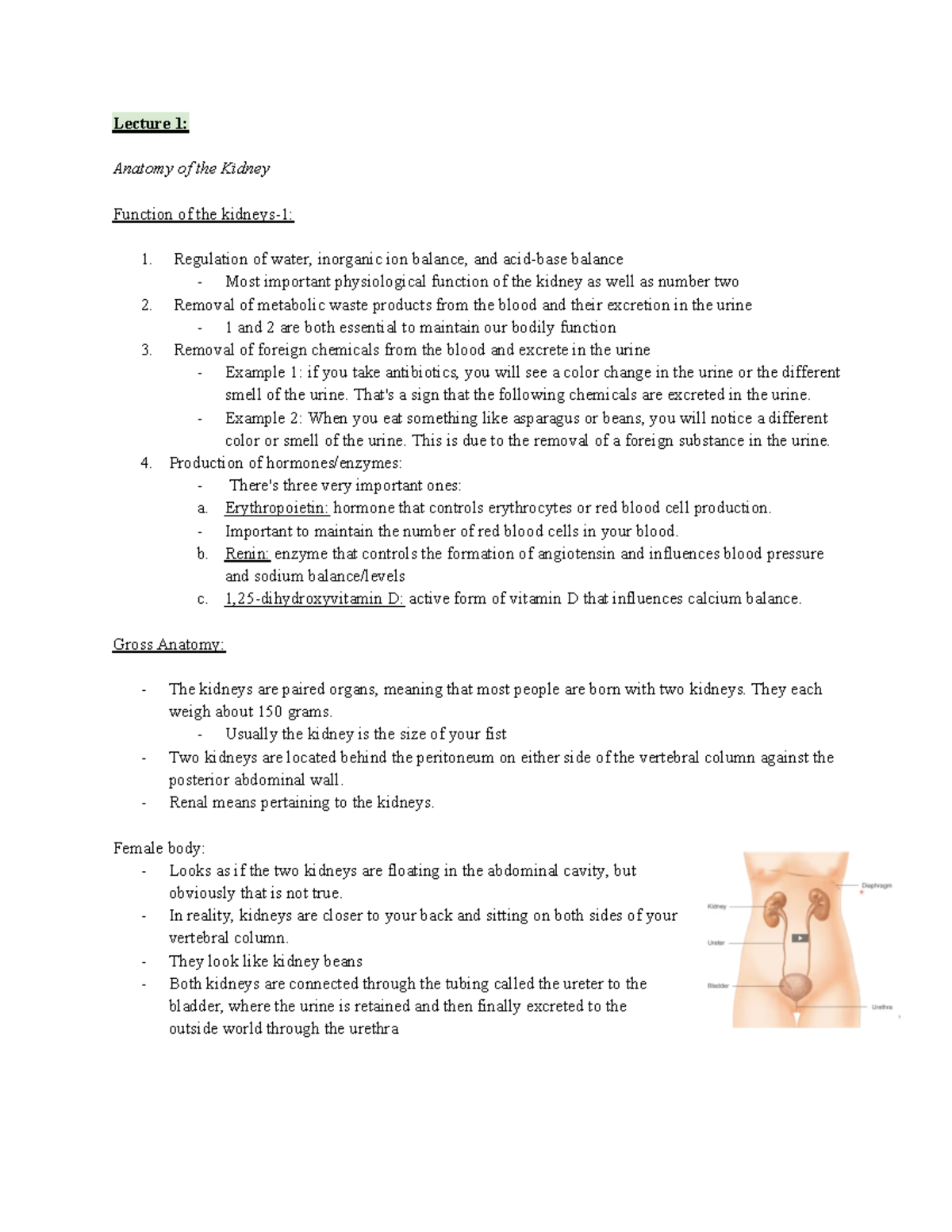Renal System Part 1 - Dr. Tomoko Takano - Lecture 1: Anatomy of the ...