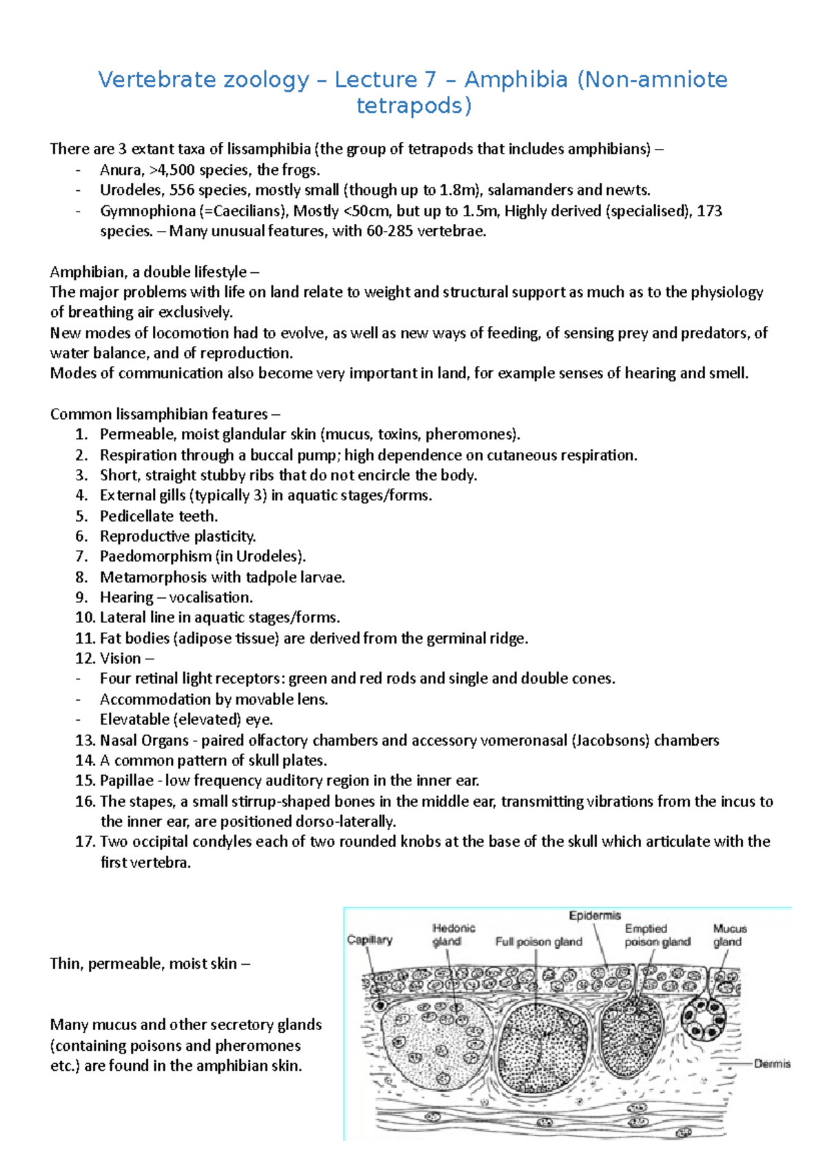 Vertebrate Zoology Lecture 7 - Vertebrate zoology – Lecture 7 ...