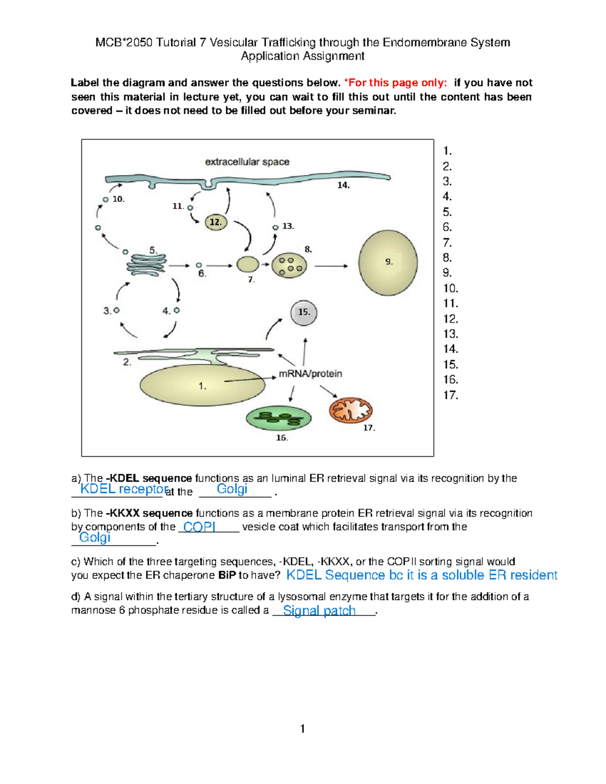 F23 Vesicular Trafficking Seminar 7 - Application Assignment Label the ...