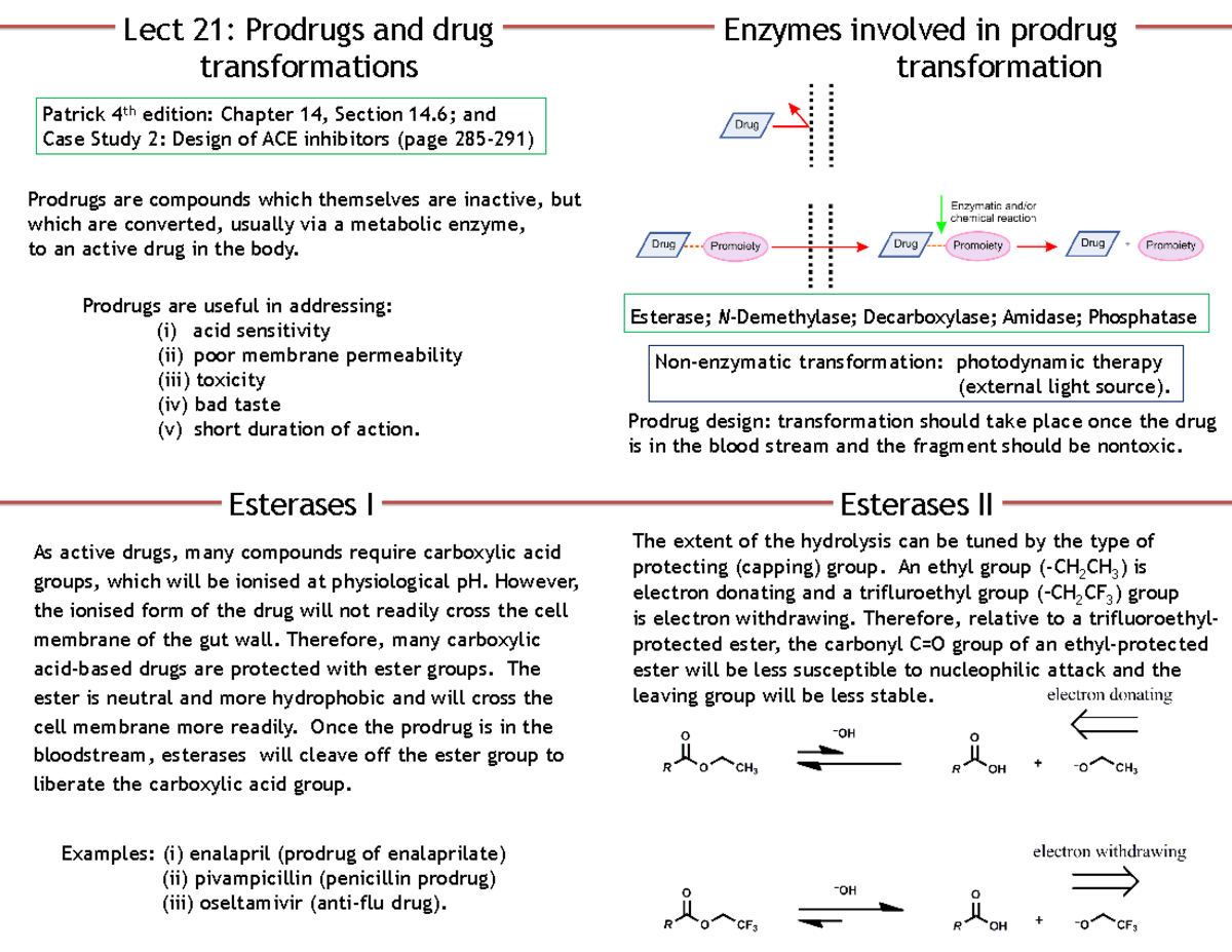 L21 - notes - Lect 21: Prodrugs and drug transformations Prodrugs are ...