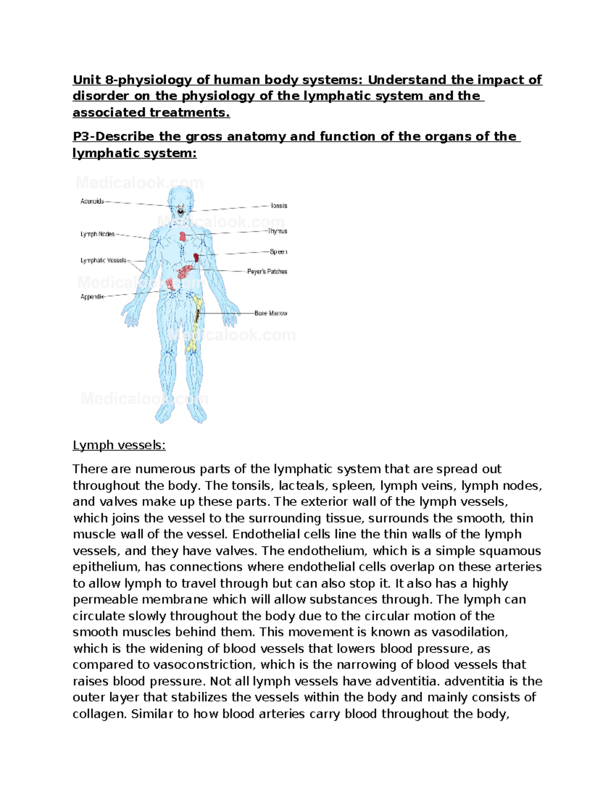 Unit 8-physiology of human body systems - P3-Describe the gross anatomy ...