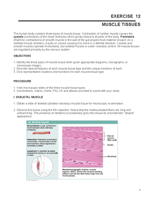 [Solved] Explain the principle of complementary of structure function - Human Anatomy And ...