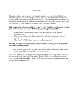 Interrogation OF Cayde LISH - Running head: INTERROGATION 1 ...