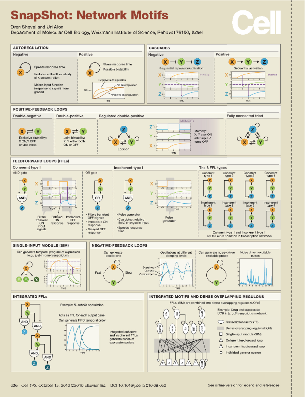 Cell Snapshot Network Motifs - 326 Cell 143 , October 15, 2010 ©2010 ...