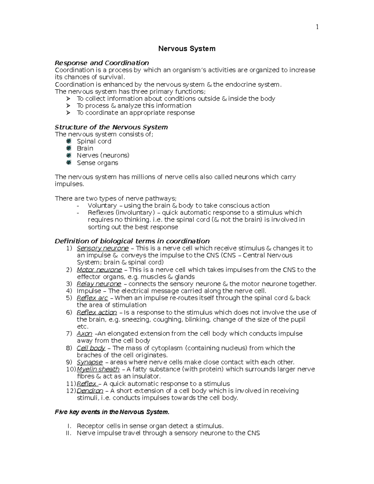 Nervous System - Physical Education - Nervous System Response and ...