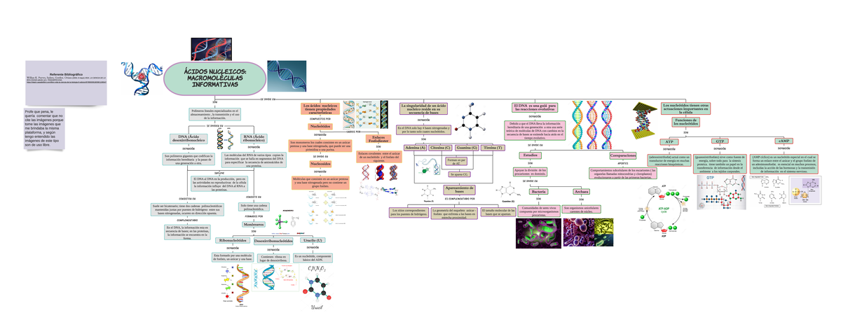 Capitu-3 Acidos Nucleicos - Referente Bibliográfico W illian K. Purves ...