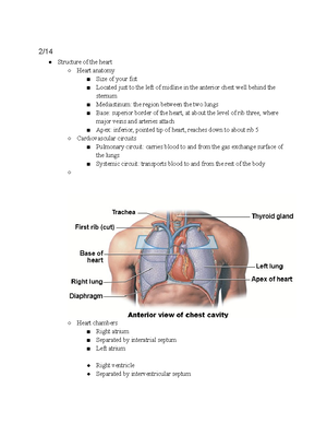 Anatomy notes - First day Anatomy: what you have Physiology: how it ...