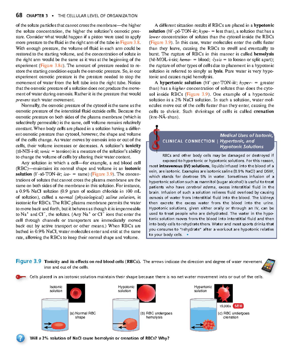 Anatomyand Physiology-34 - 68 CHAPTER 3 • THE CELLULAR LEVEL OF ...