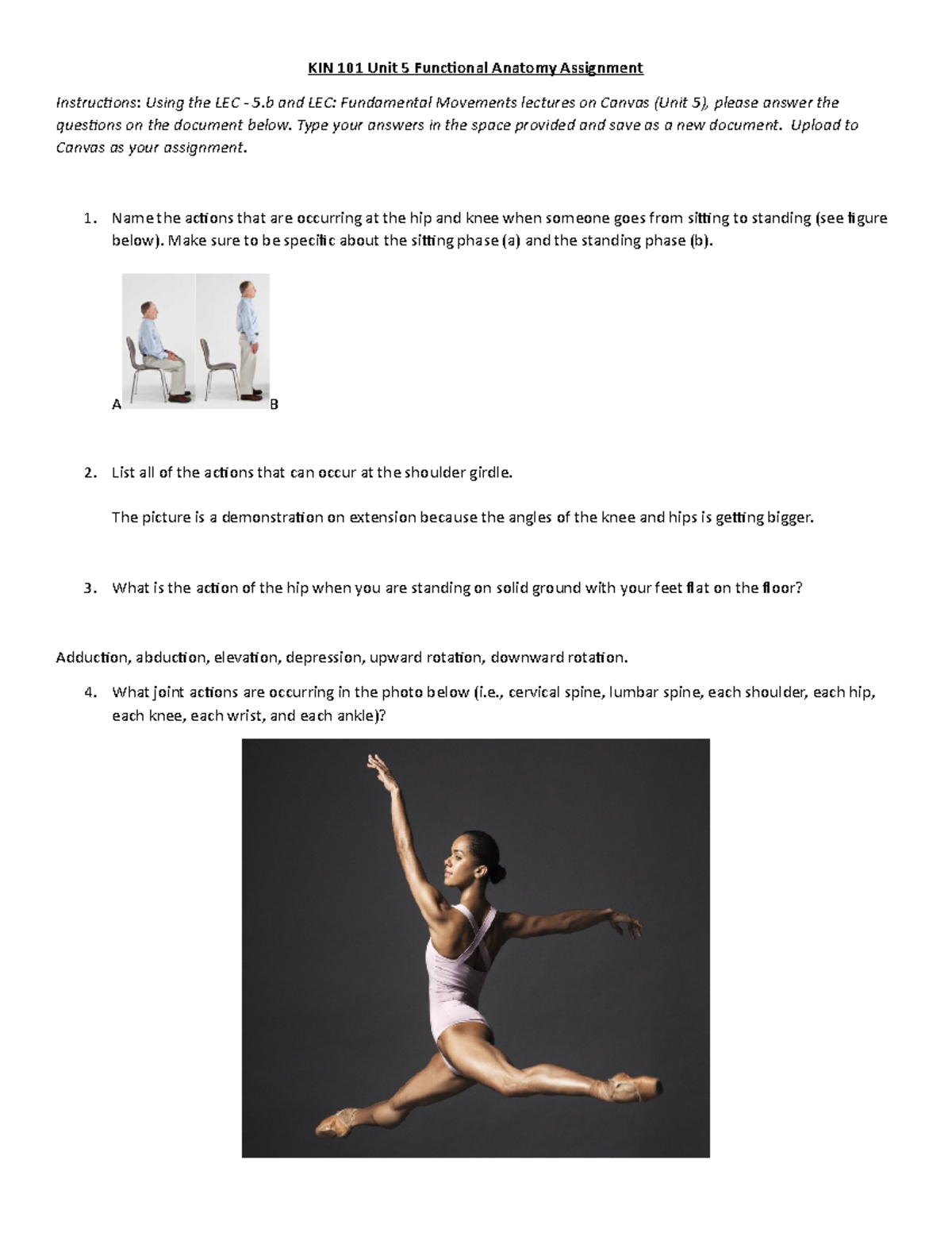 Functional Anatomy Assignment - KIN 101 Unit 5 Functional Anatomy ...