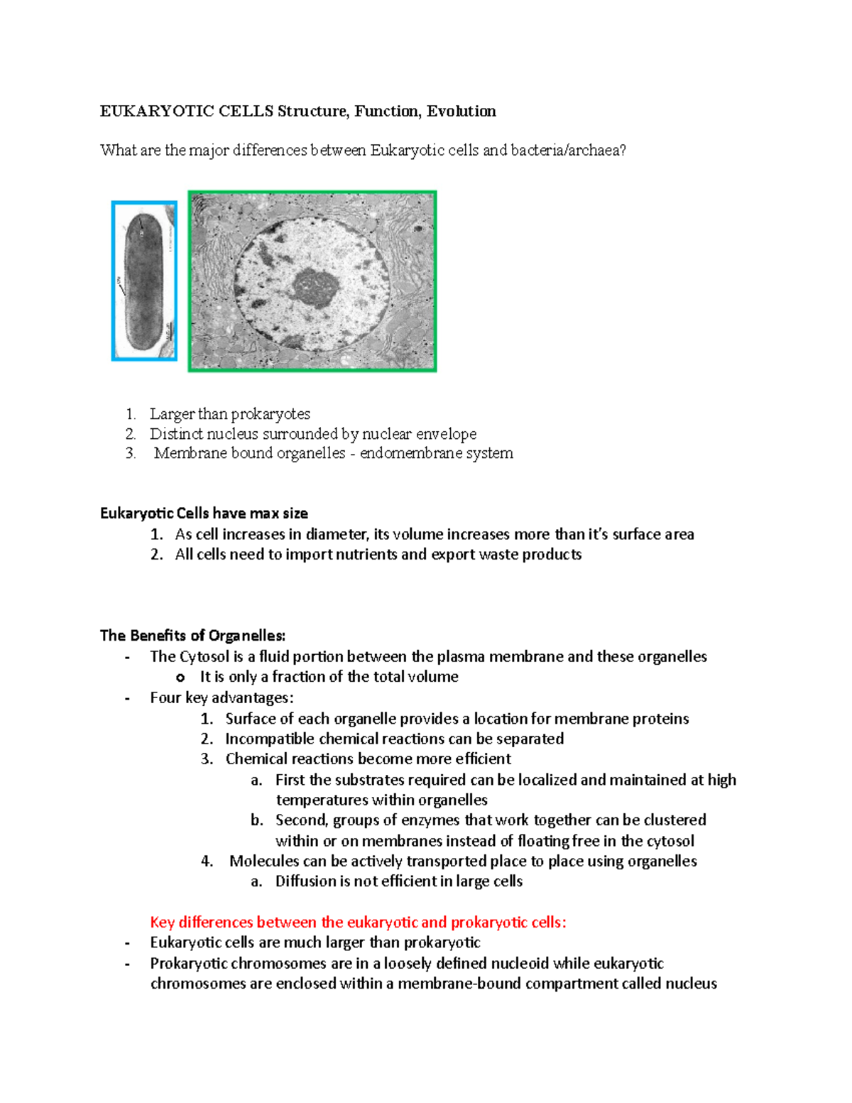 Eukaryotic Cells Structure - sep 16 - EUKARYOTIC CELLS Structure, Function, Evolution What are ...