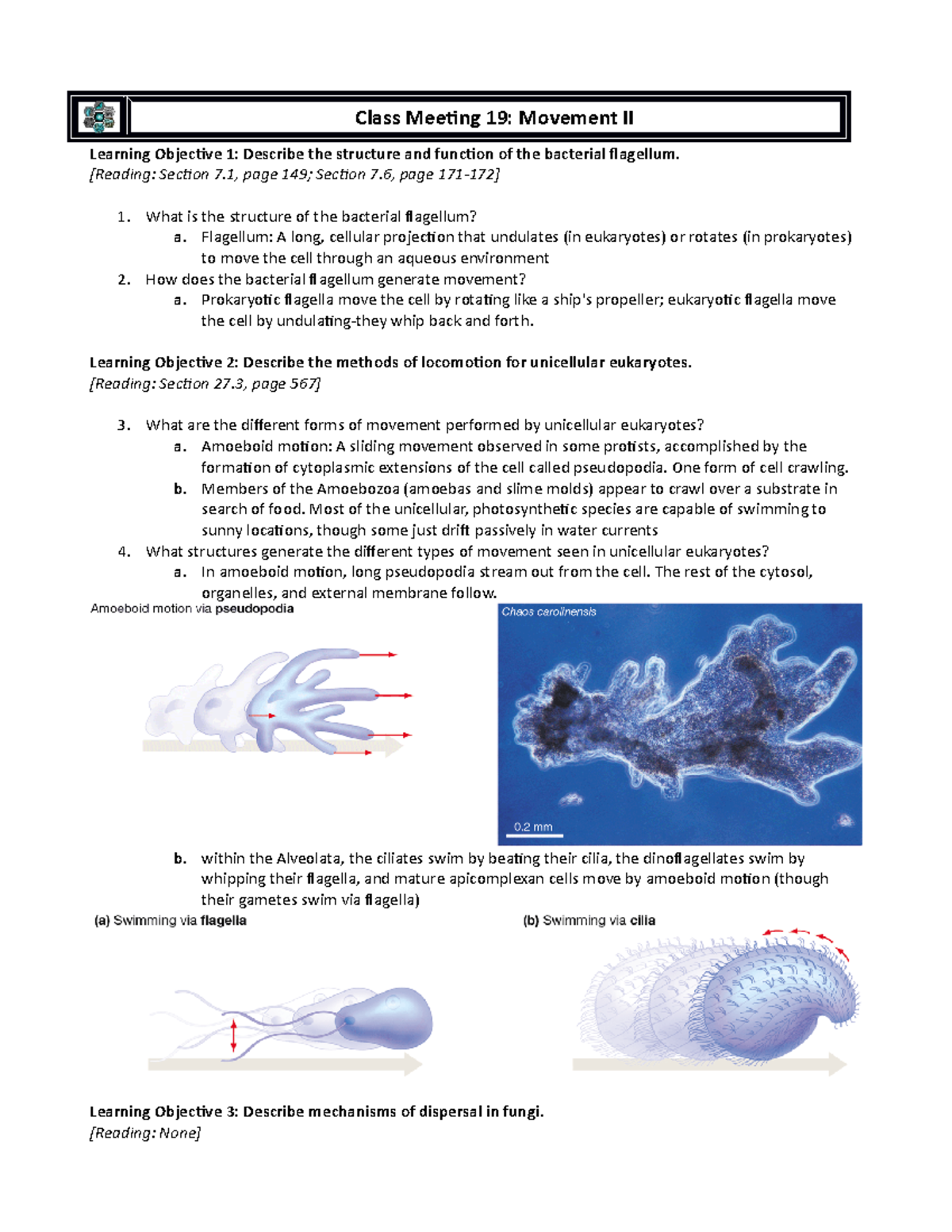 BIO 212- Class 20 Assignment - Learning Objective 1: Describe the ...