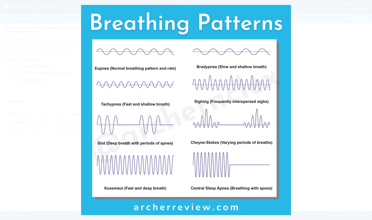 Breathing pattren - archer - The ICU nurse assesses a comatose patient ...