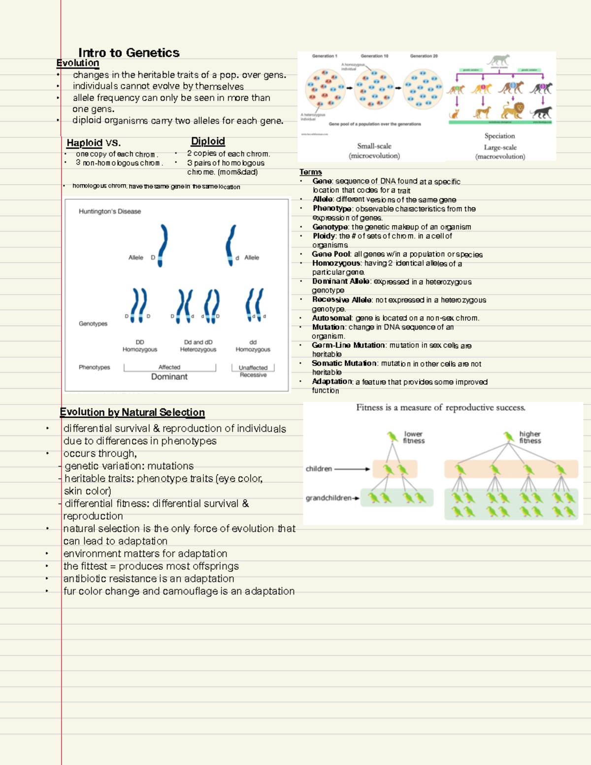 Intro to Genetics - Intro to Genetics Evolution • changes in the heritable traits of a pop. over ...