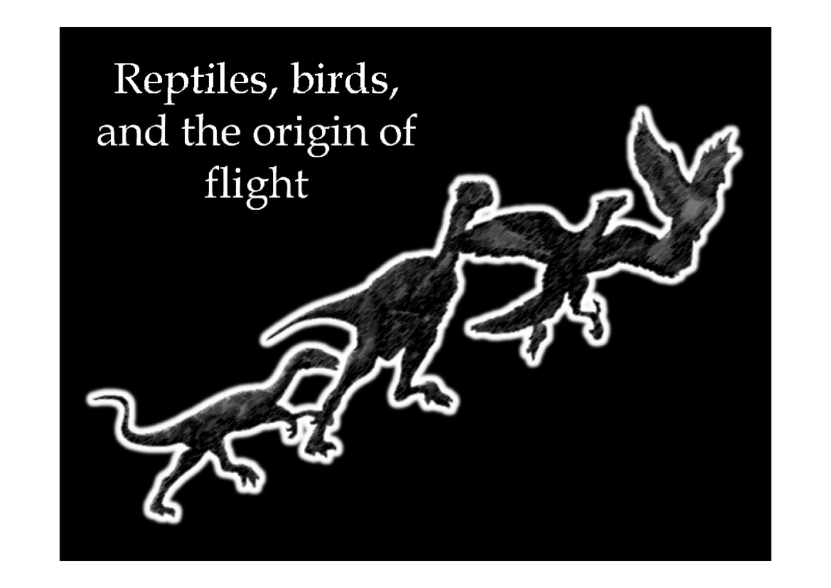 Lecture 3-1 - ORIGIN OF VERTEBRATES - and the origin ofReptiles, birds ...
