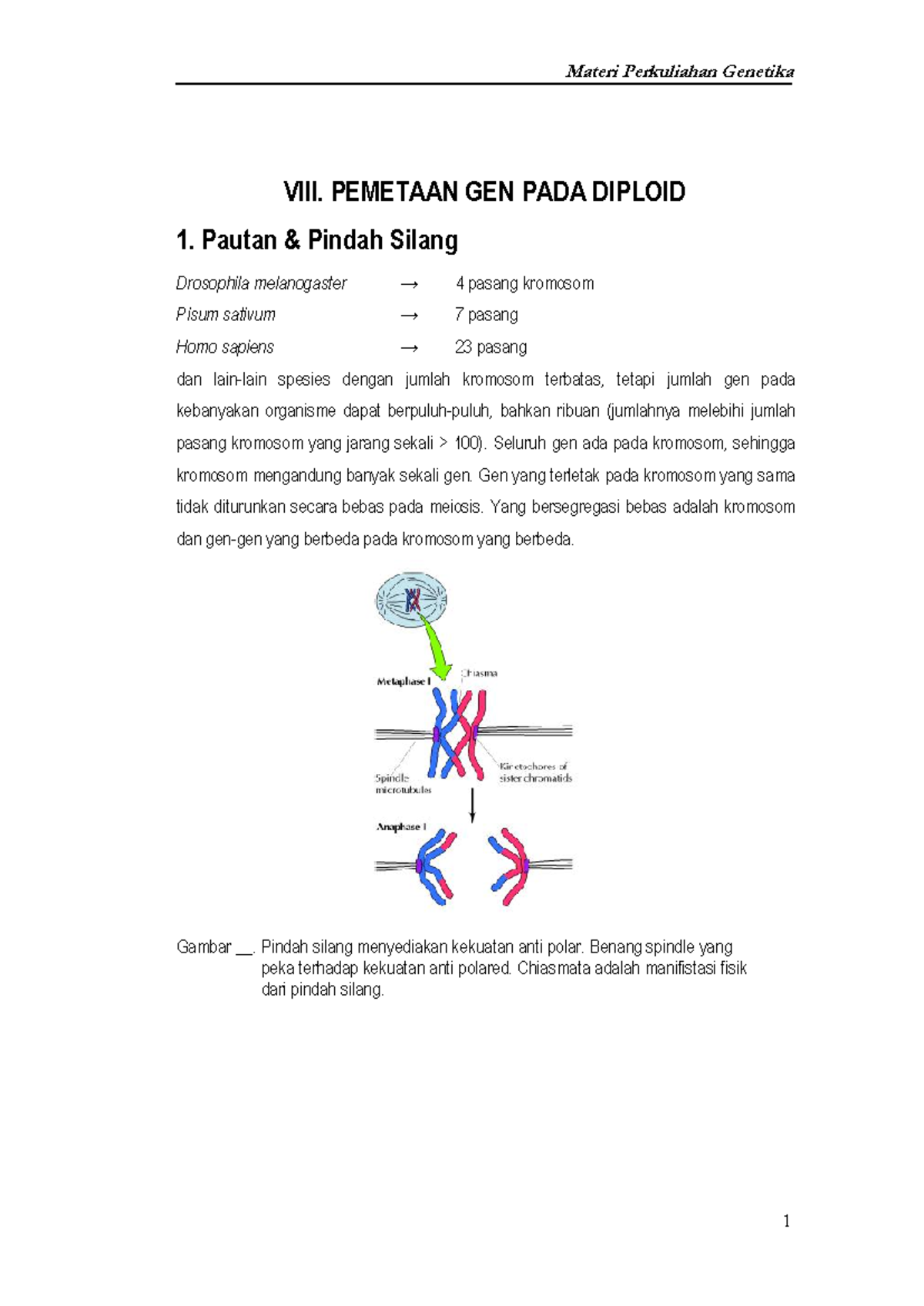 Gene Mapping (Pemetaan Gen) - VIII. PEMETAAN GEN PADA DIPLOID 1. Pautan ...