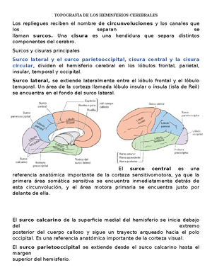 EC09-pasatiempos-diciembre-ecognitiva - Este cuaderno pretende ser una ...