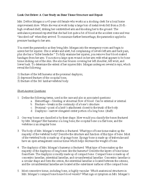 Ch06 bone tissue stru casestudy with worksheet - Look Out Below: A Case ...