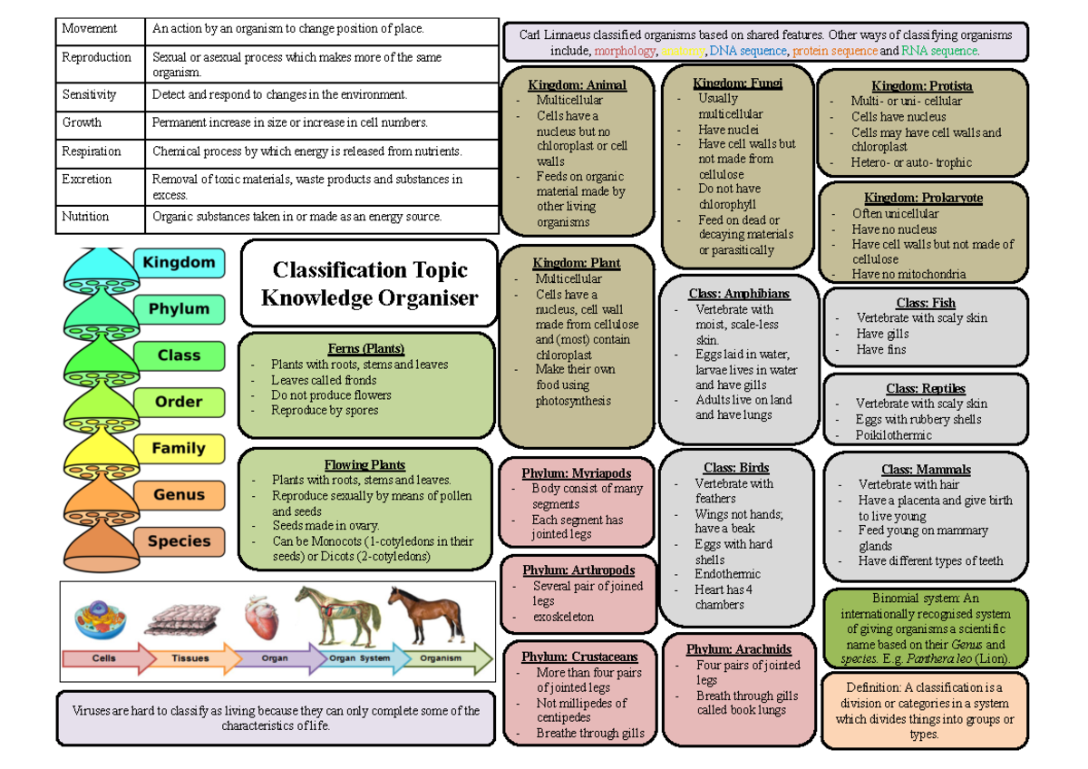 Classification Knowledge Organiser old - Movement An action by an ...