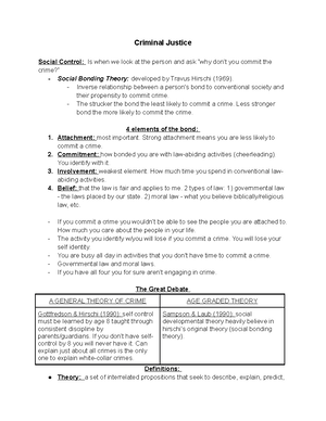Prisonization Paper - Correctional Systems - Understanding ...
