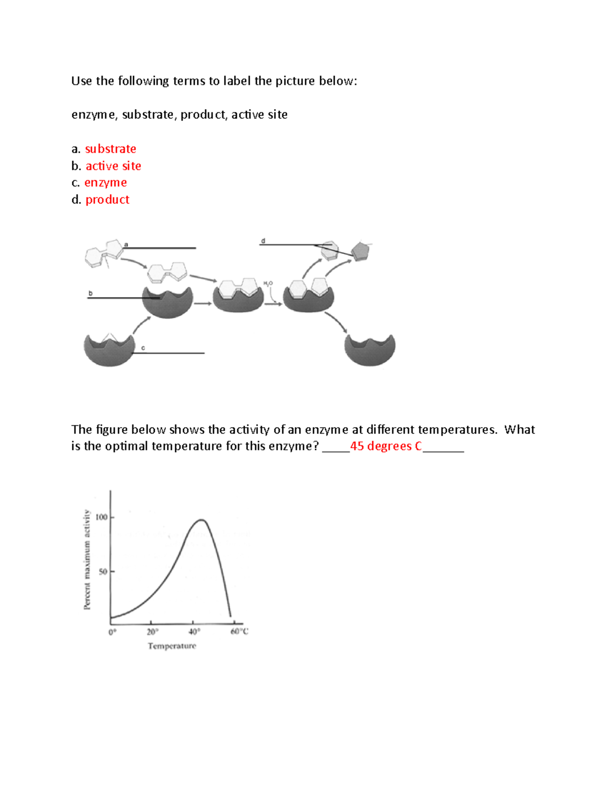 Chapter 6 class activity 2 answers - Use the following terms to label ...