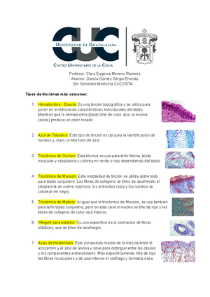 Linea del tiempo Patologia - 100a 460- 377a Enfermedad vista desde un ...