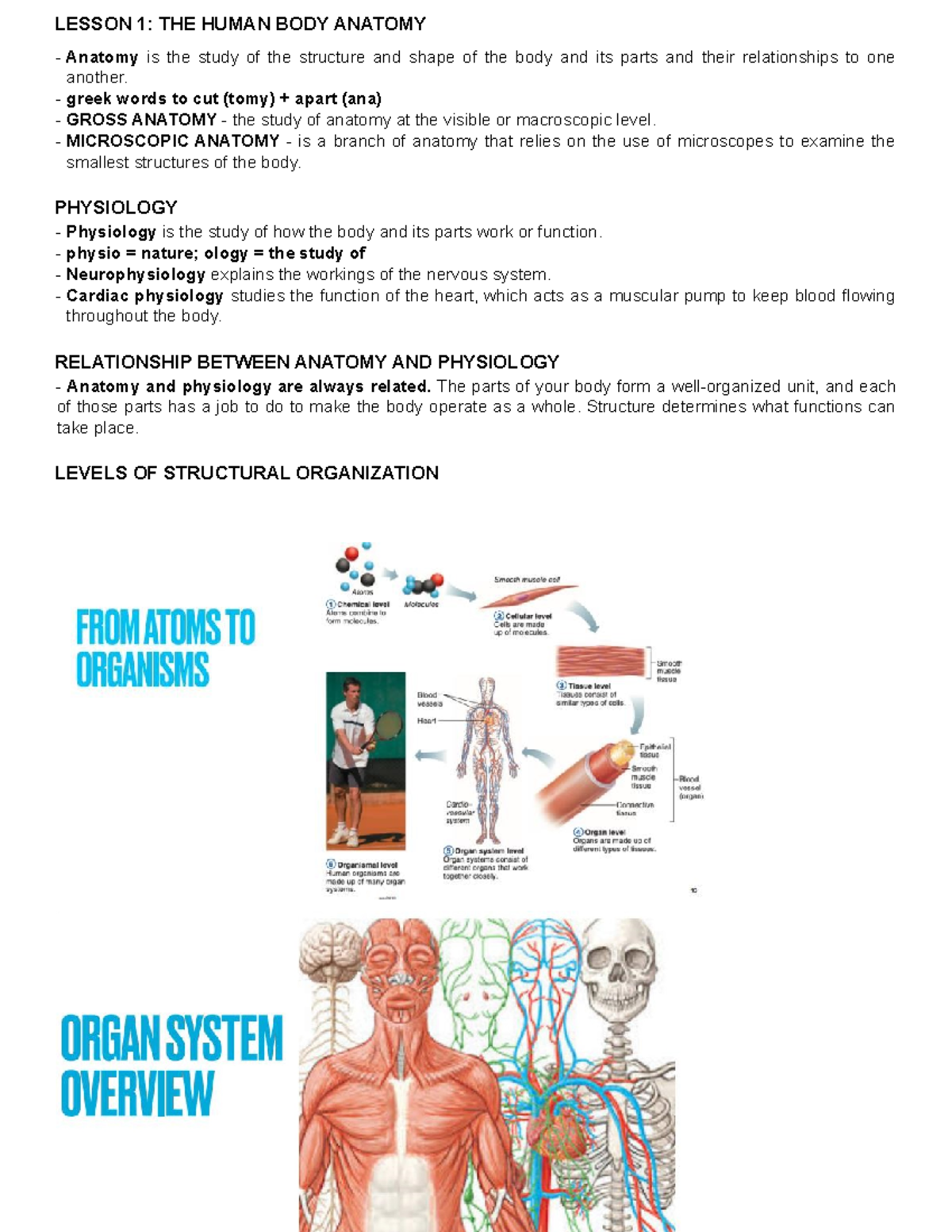 Anatomy- Reviewer - 4 - LESSON 1: THE HUMAN BODY ANATOMY Anatomy is the ...