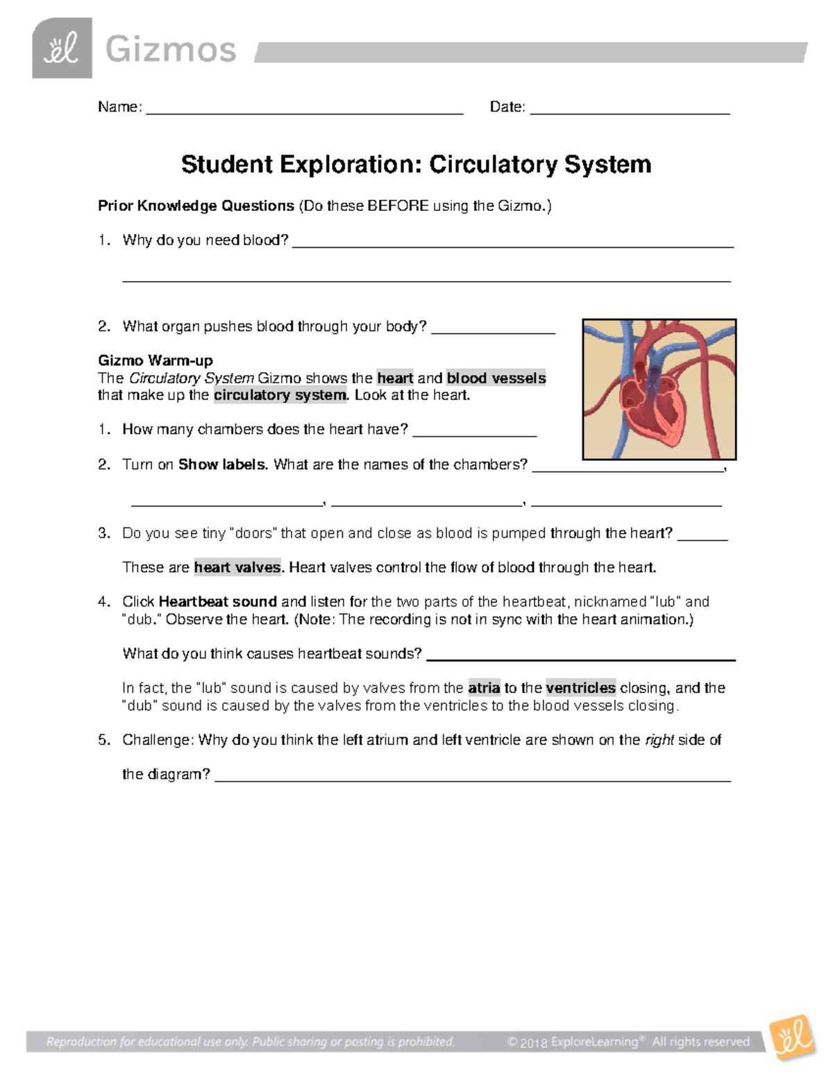Circulatory System Gizmo - Name ...