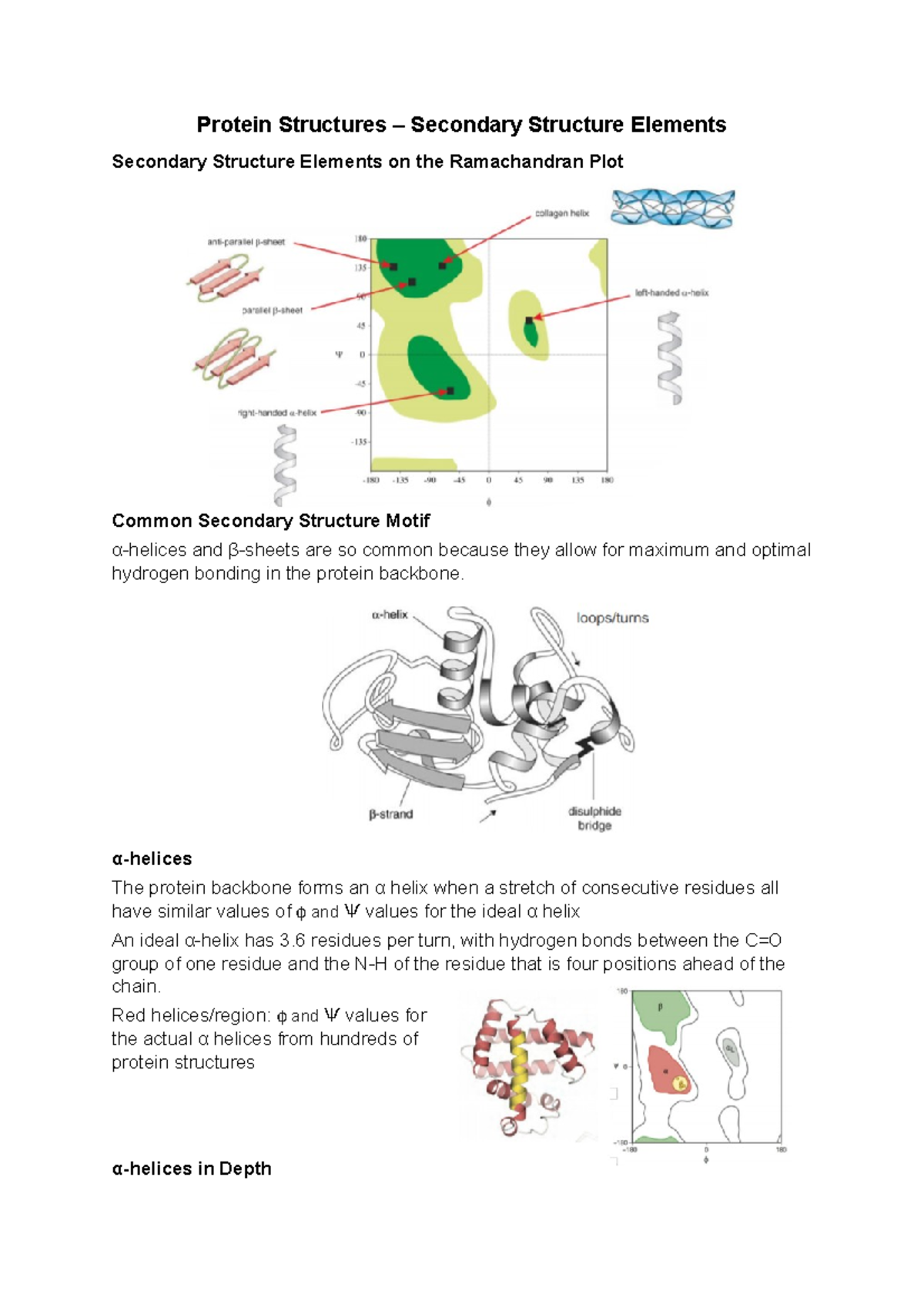 Protein Structures - Secondary Structure Elements - Protein Structures ...