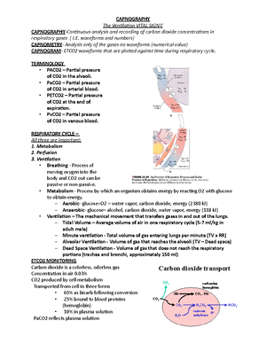 Cardiovascular System Anatomy - CARDIOVASCULAR SYSTEM ANATOMY ...