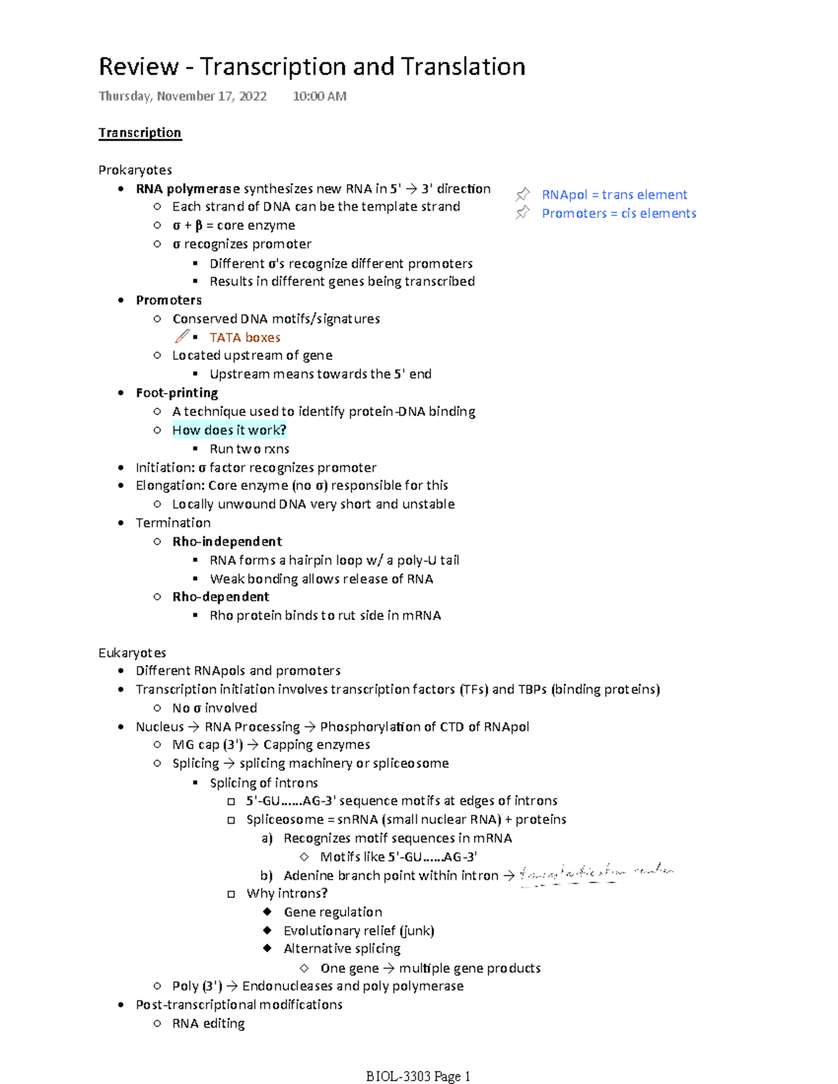 Unit 5 - Transcription and Translation Review - Transcription ...