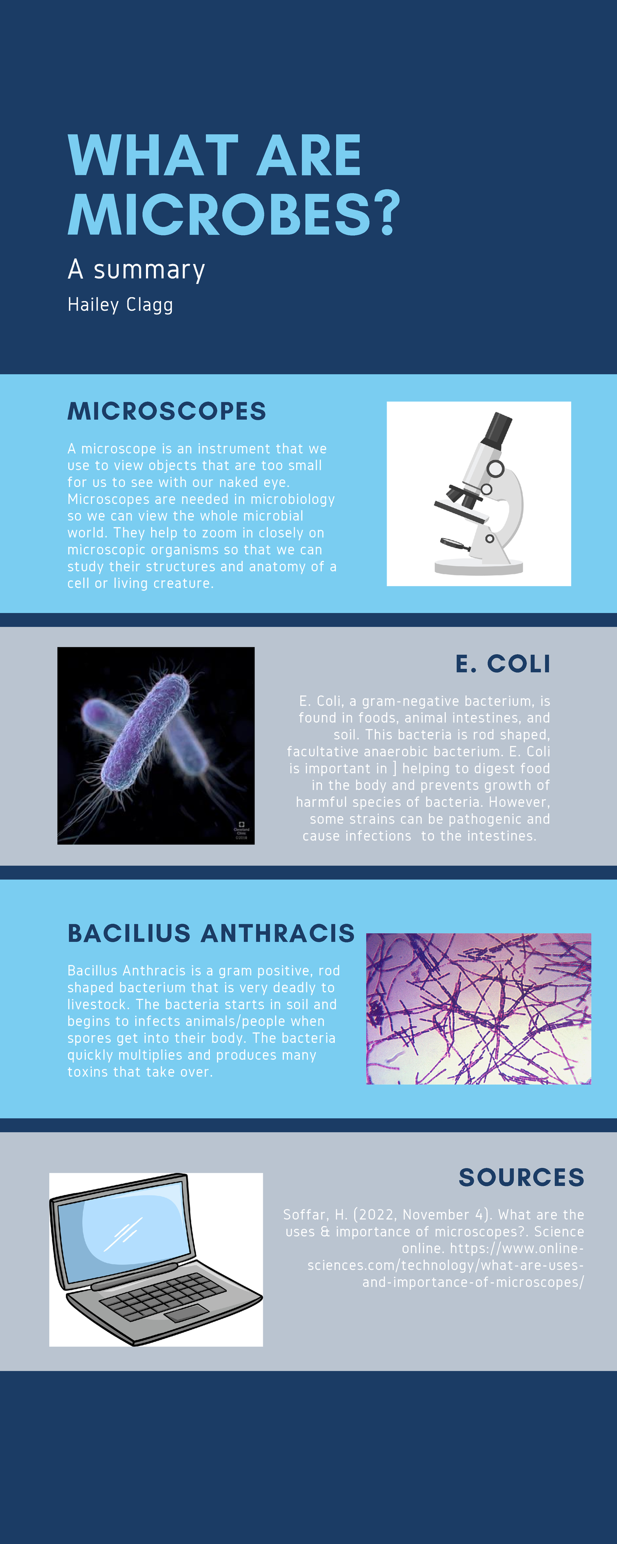 What are microbes - WHAT ARE MICROBES? A summary Hailey Clagg A ...