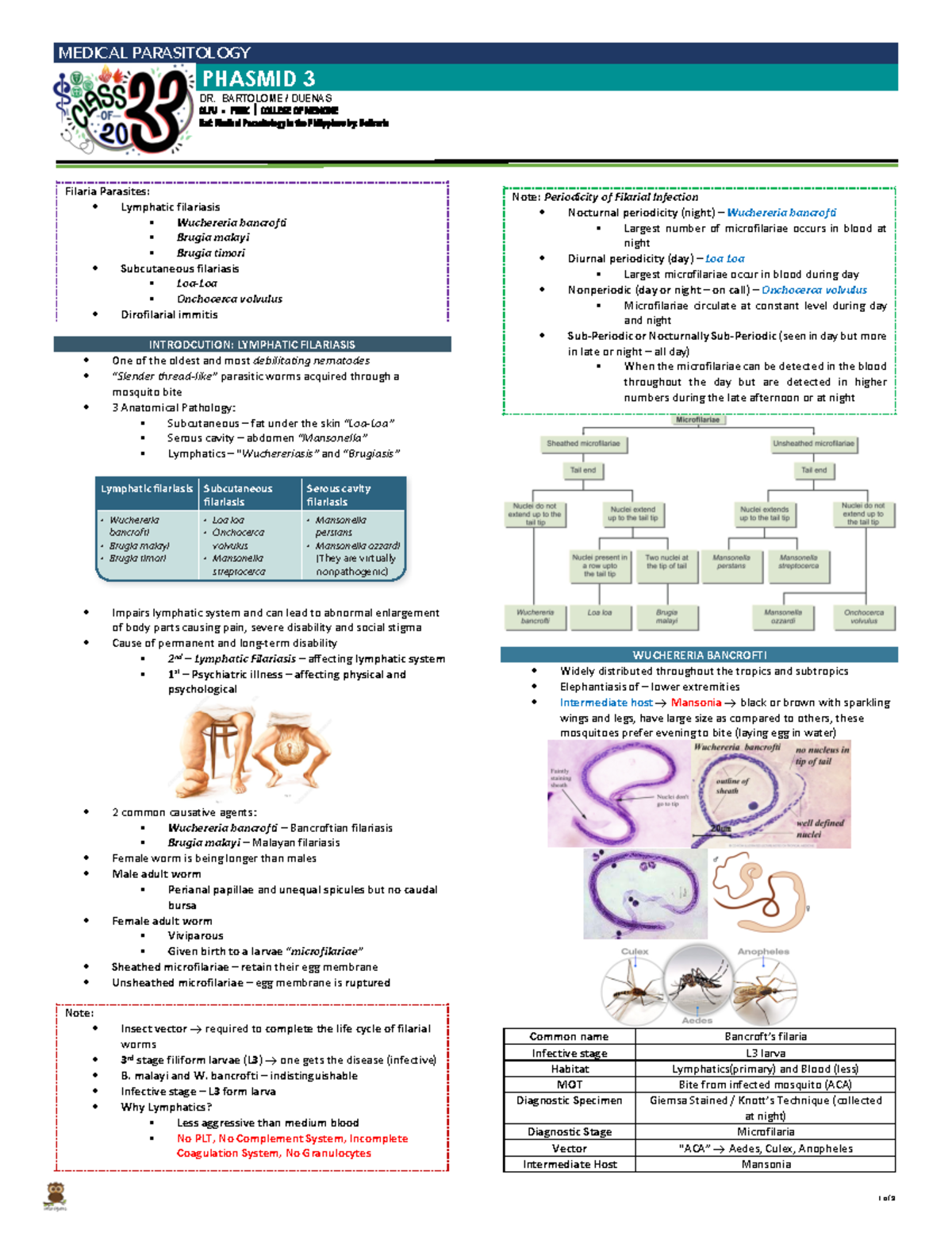 Phasmid 3 Lecture - PHASMID 3 DR. BARTOLOME / DUENAS OLFU • FUMC ½ ...