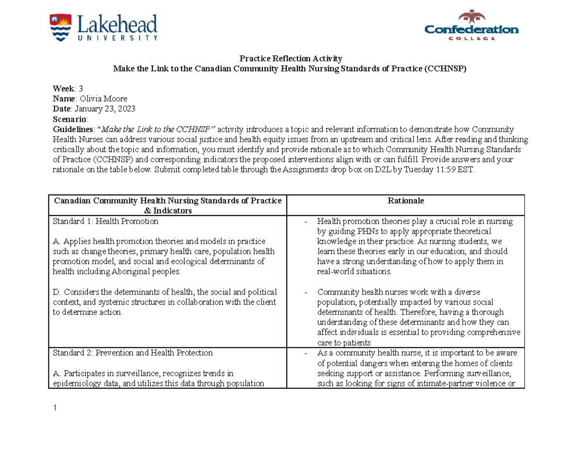 Cchnsp Make the Link Activity Template - Practice Reflection Activity ...