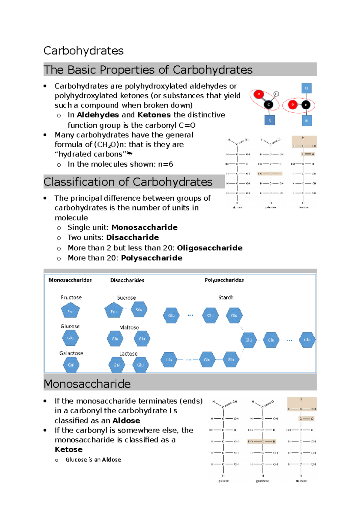 Week 4 - Carbohydrates - informative lecture notes - 091161 - Studocu