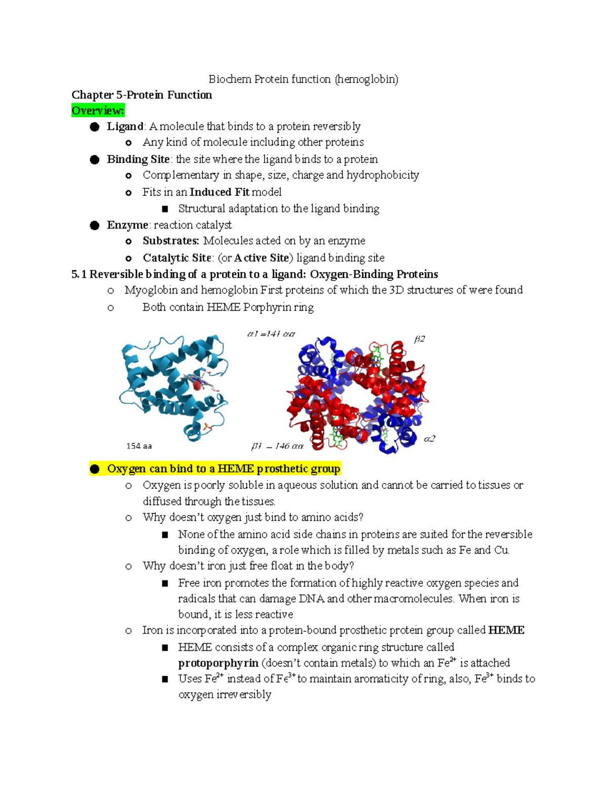 Copy of 3. Biochemistry Hemoglobin - Biochem Protein function (hemoglobin) Chapter 5-Protein ...