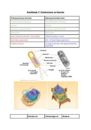 Campbell Biology Hoofdstuk 16 - DNA en Celbouw - HS Leiden - Studeersnel