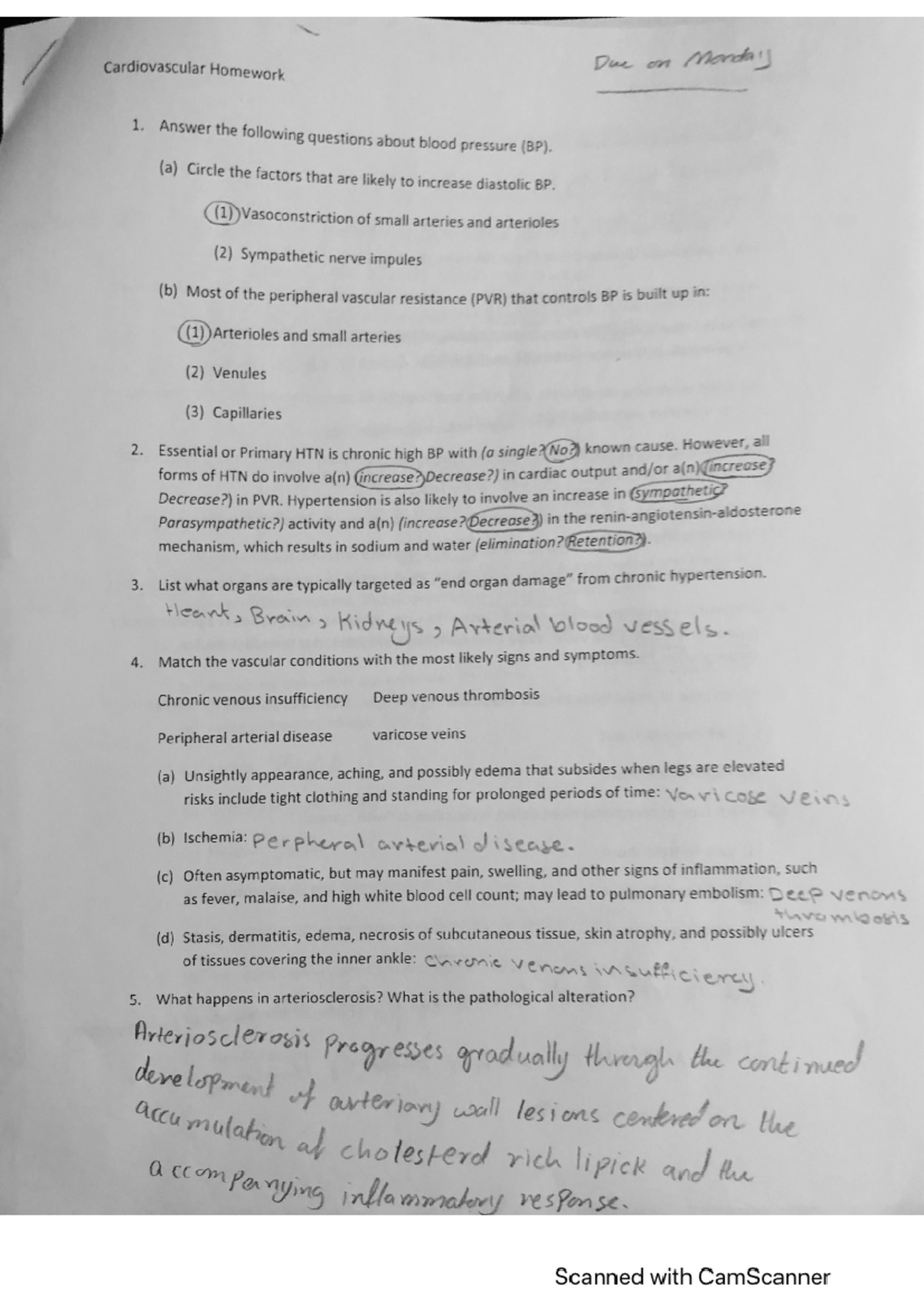 Cardiac HW - Medication homeworks - PATHO II - Studocu