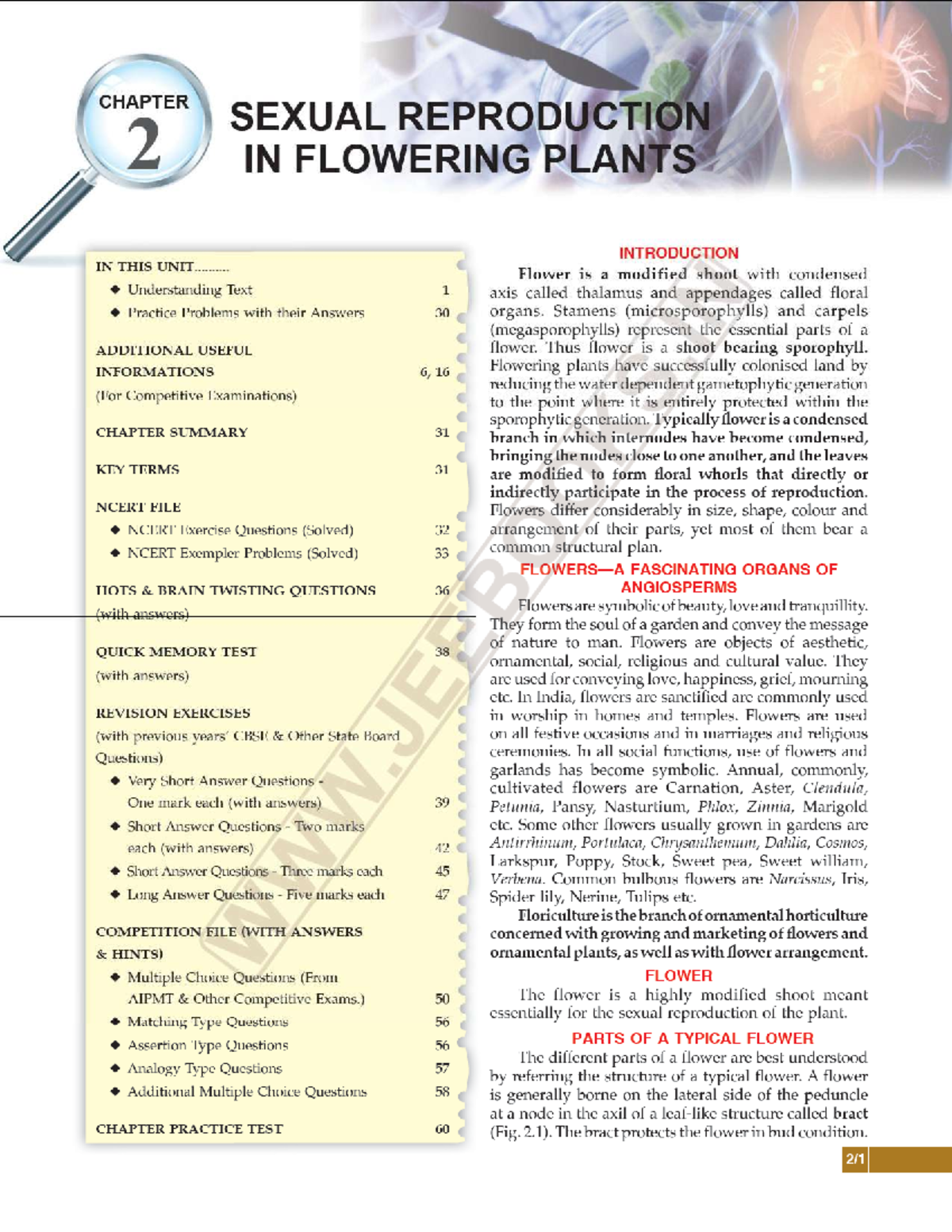 Sexual reproduction in flowering plants compressed - Bio-Technology ...
