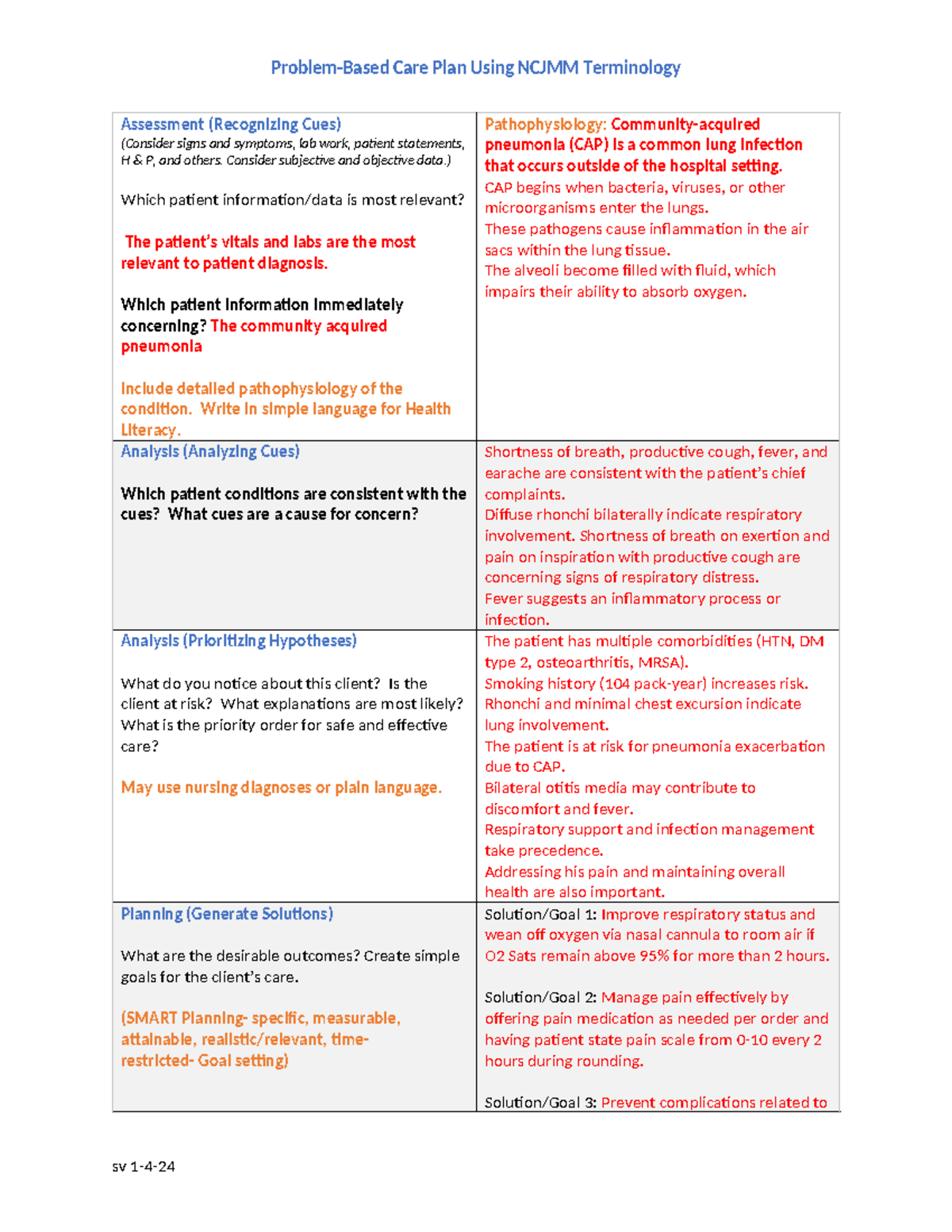 Revised Ncjmm Care Planning template Spring 2024 sv - Problem-Based ...