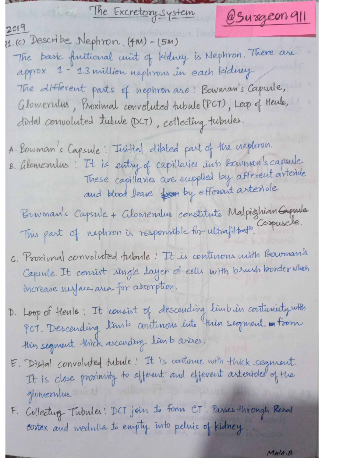 Excretory system - Its lecture note - Bachelors in nursing - Studocu