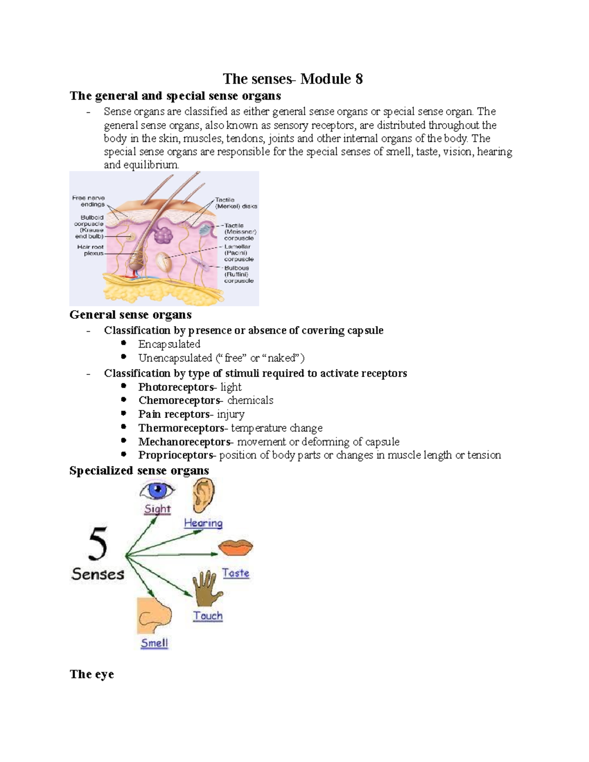 The senses- Module 8 - The general sense organs, also known as sensory ...