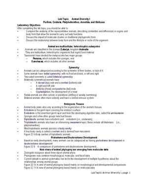 Sample Lab Report for Cell Function & Structure - Biol 1011-05/08 ...