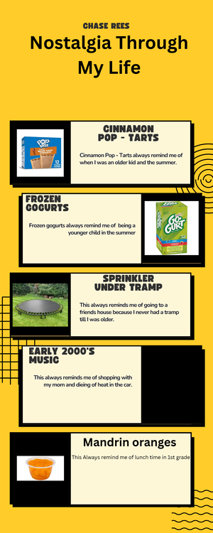 Zoology - Phylum Porifera - Sponge Questions - Answer Key - Early ...