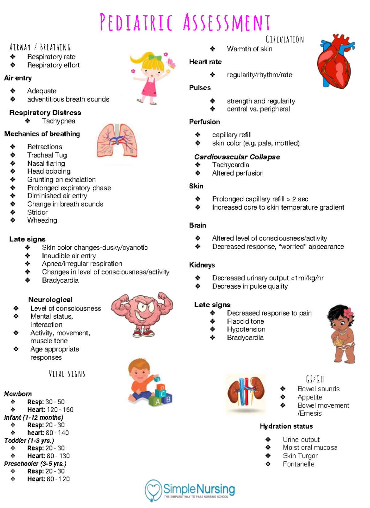 Pediatric Assessment - Airway / Breathing Respiratory rate Respiratory ...