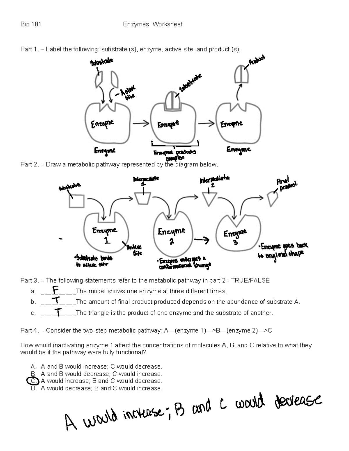 Group work 8 - These are weekly worksheets that we do as homework - Bio ...