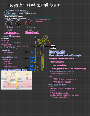 Chapter 22 - Anatomy and Physiology 2. Metabolism and Energy Balance ...