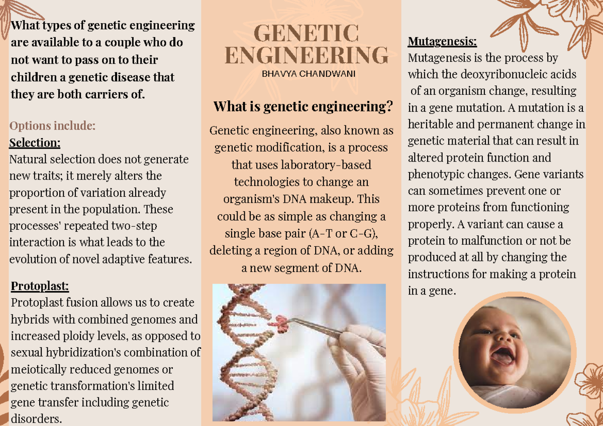 Genetic engineering - What types of genetic engineering are available ...