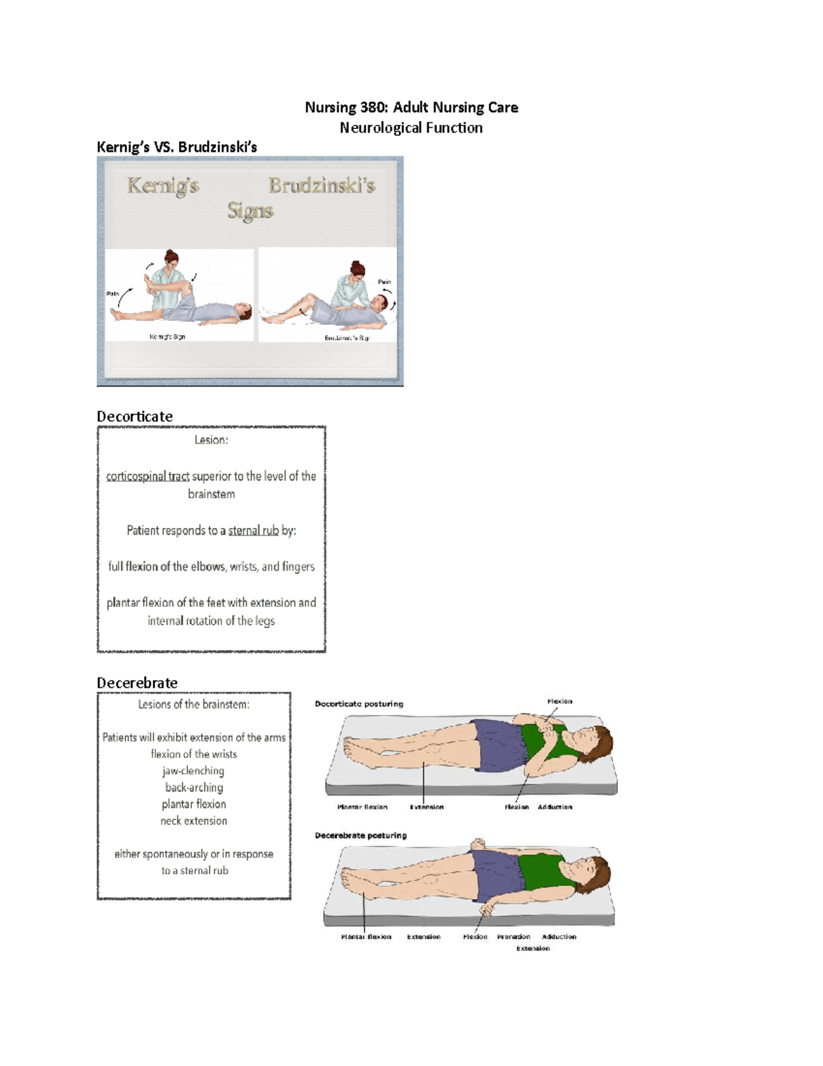 Neuro system - Lecture notes Lecture 3 - NURS 380 - Studocu