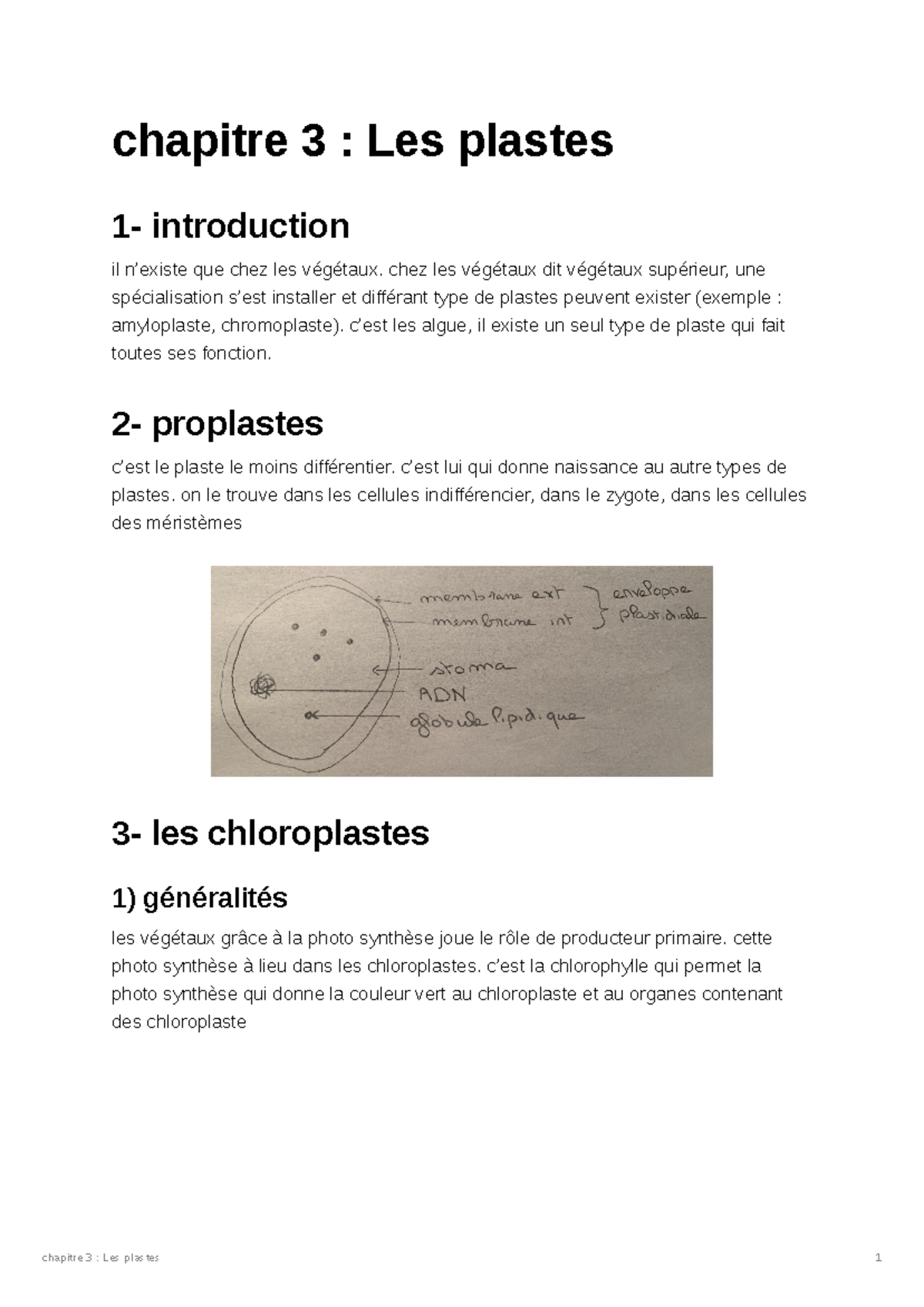 Chapitre 3 Les plastes d980731 d65e843ae83f717c27539 be1e - chapitre 3 ...